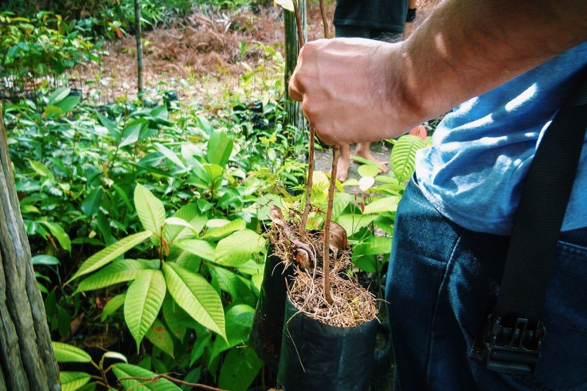 TACKLING CLIMATE CHANGE: From Protecting Wildlife to Educating the Next ...